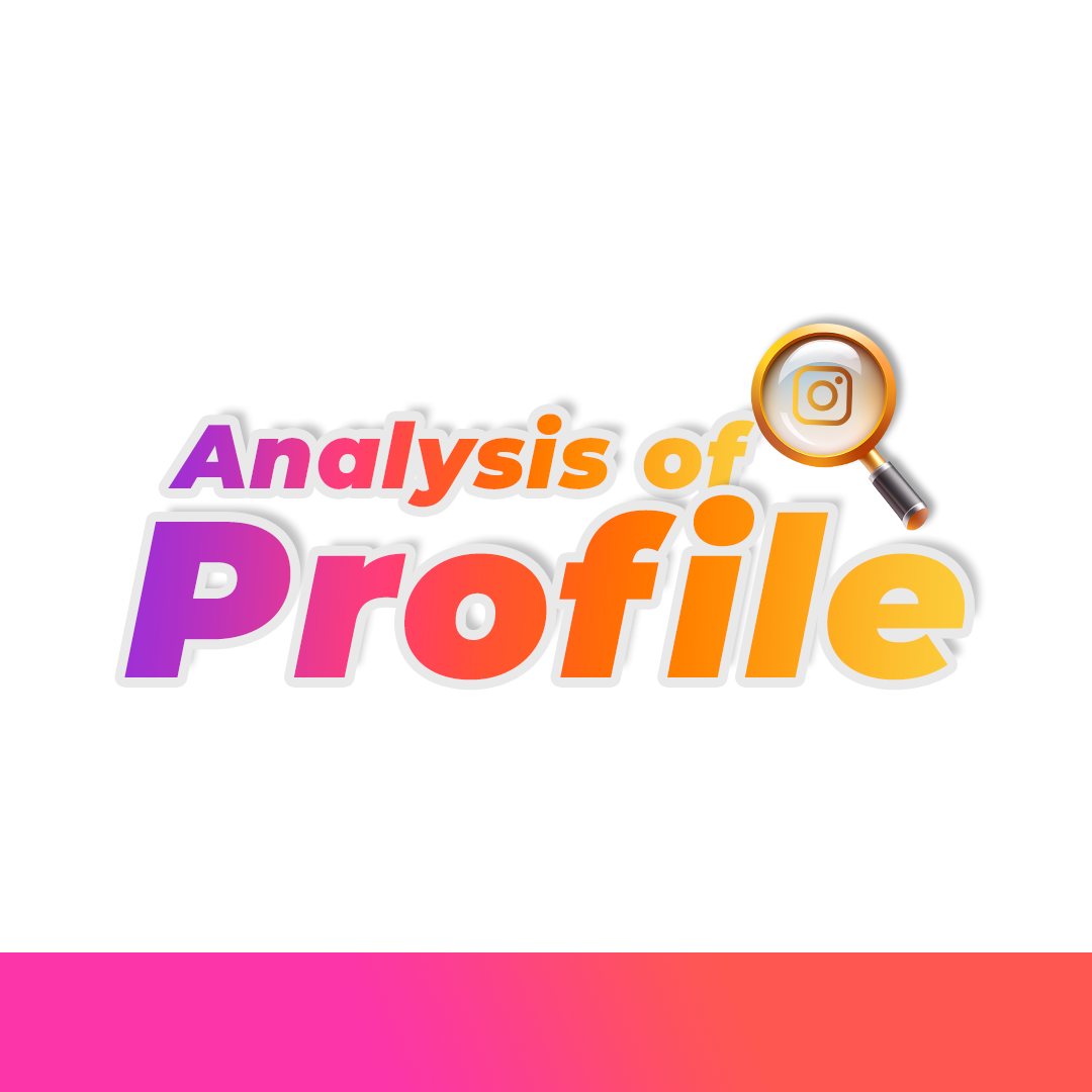 Instagram profile analysis