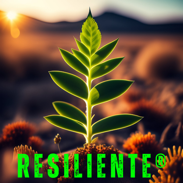 Resiliente - You Instituto | Hotmart