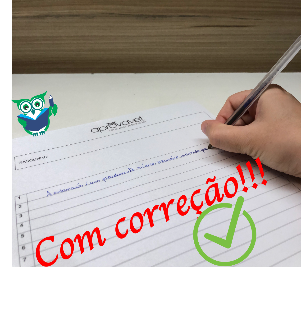 Curso para prova discursiva do CRMV-SP - Patricia Moriconi | Hotmart Curso para prova discursiva do CRMV-SP - Patricia Moriconi | Hotmart