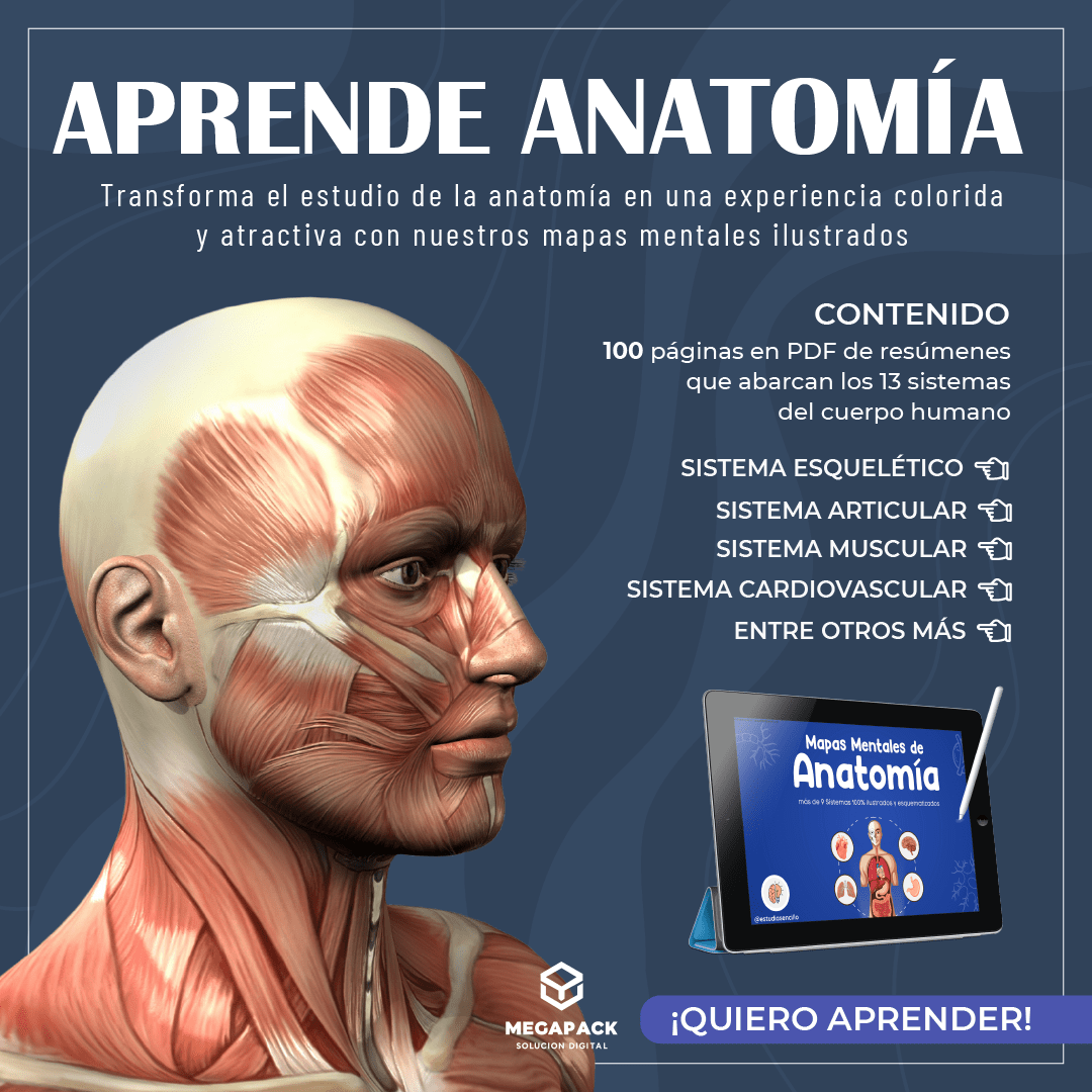 Megapack de libros,Flash cards, guias y resúmenes de medicina - and...