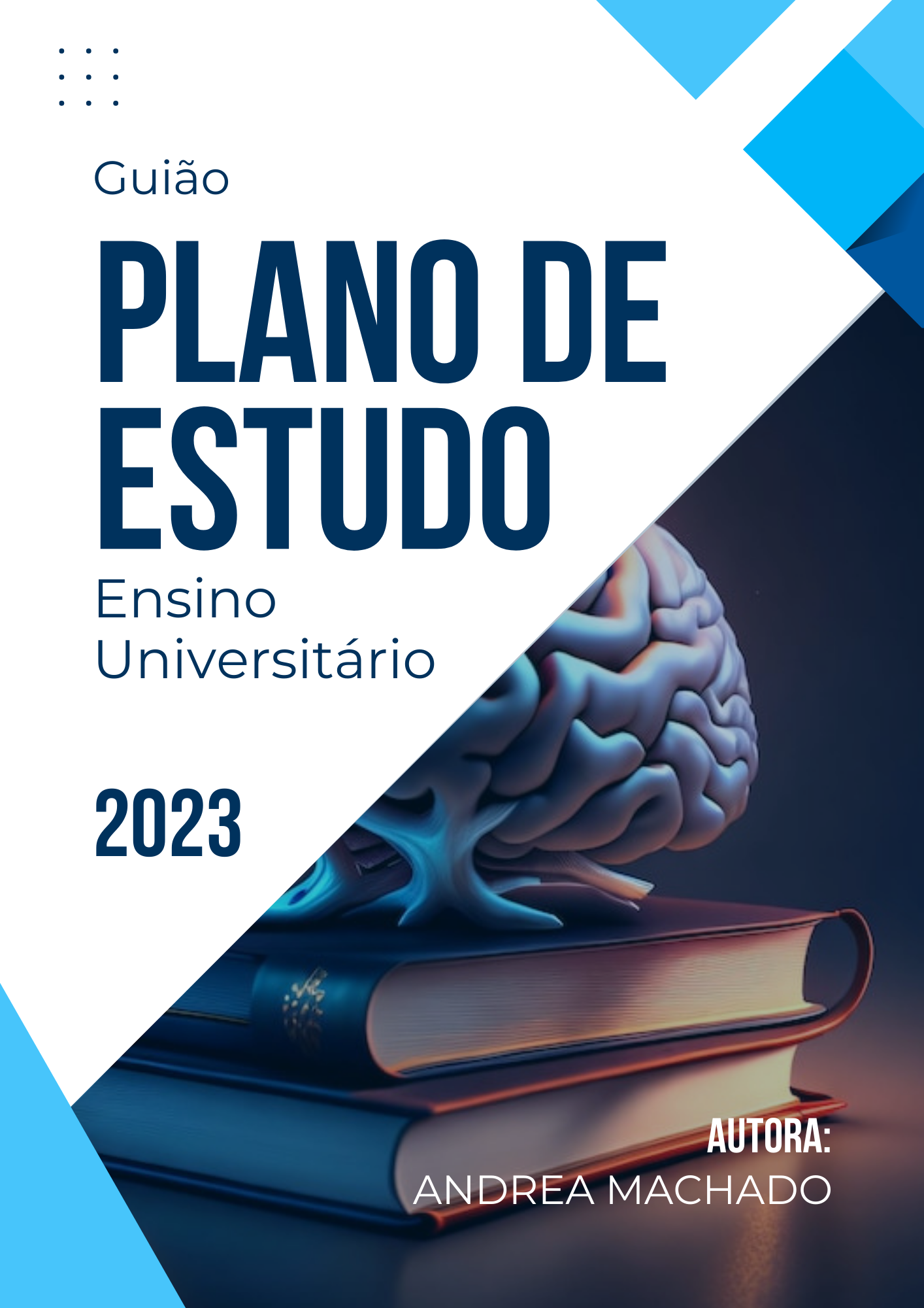 Guia de Plano de Estudo – Ensino Universitário - Andrea Machado