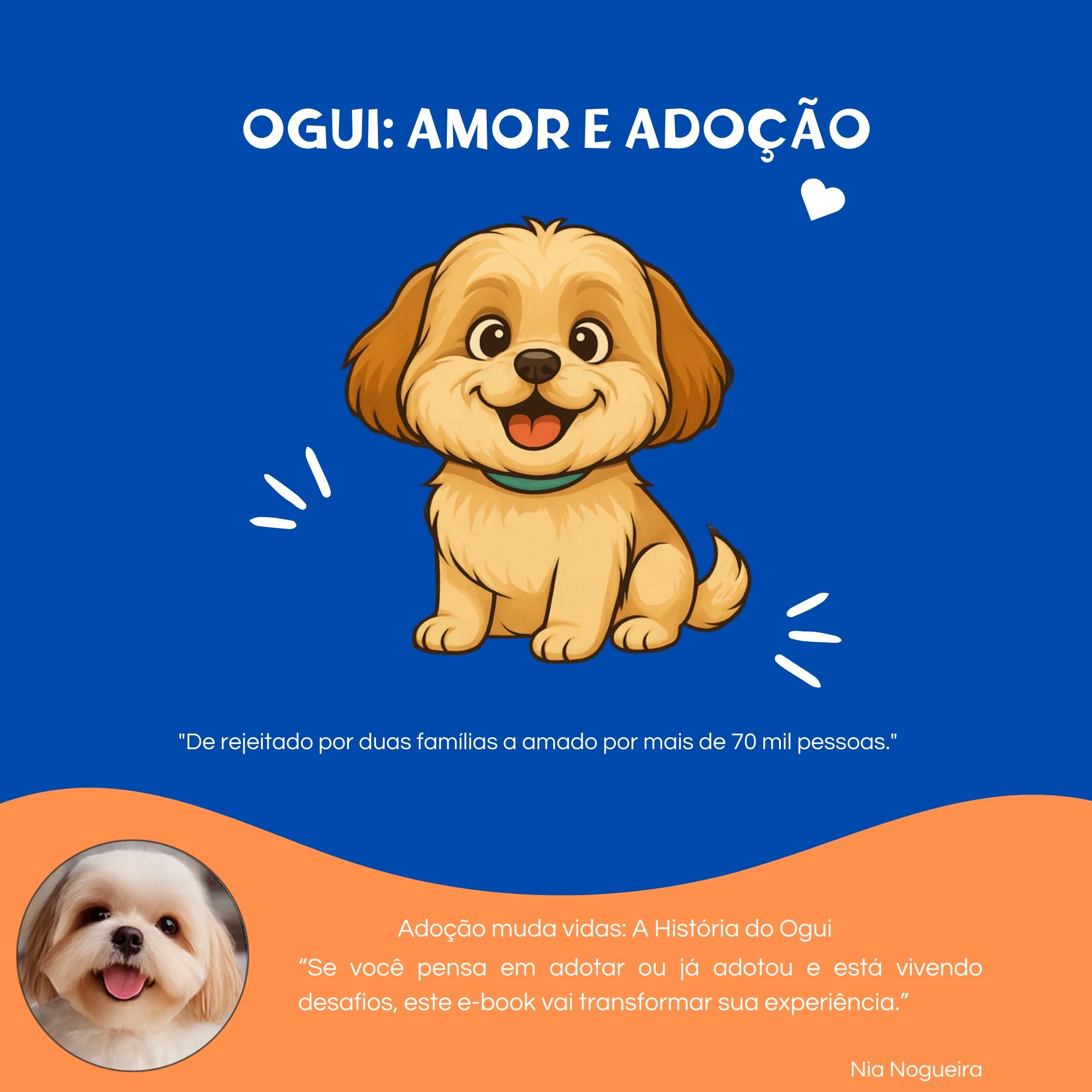 A história de Ogui: A REJEIÇÃO, O AMOR E A ADOÇÃO - Nia Nogueira