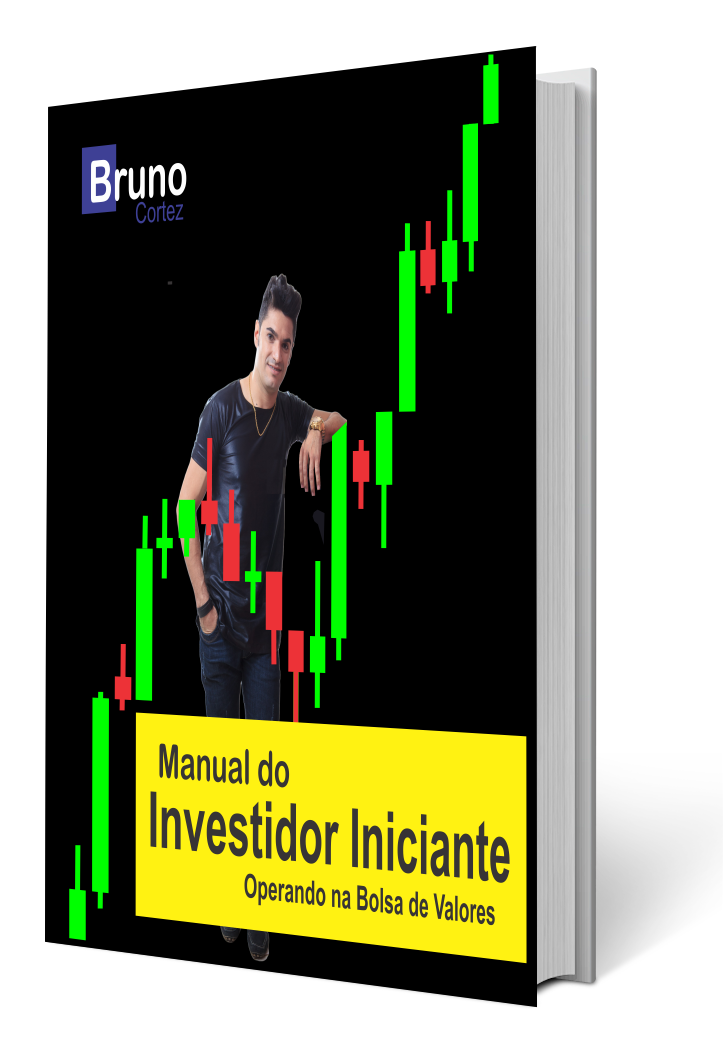 Manual do Investidor Iniciante Operando na Bolsa de Valores - CLAUD...