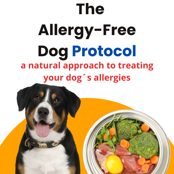 The Allergy-Free Dog Protocol