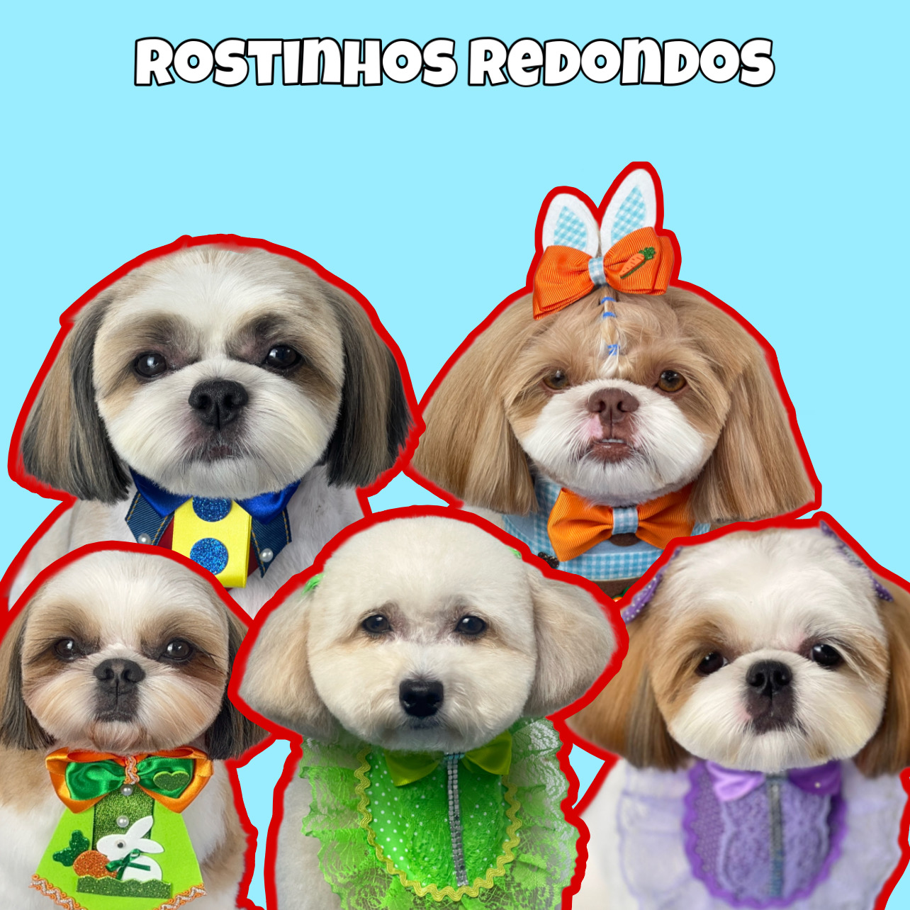 Rostinho Redondo para Pets - Pablo e Rodrigo | Hotmart