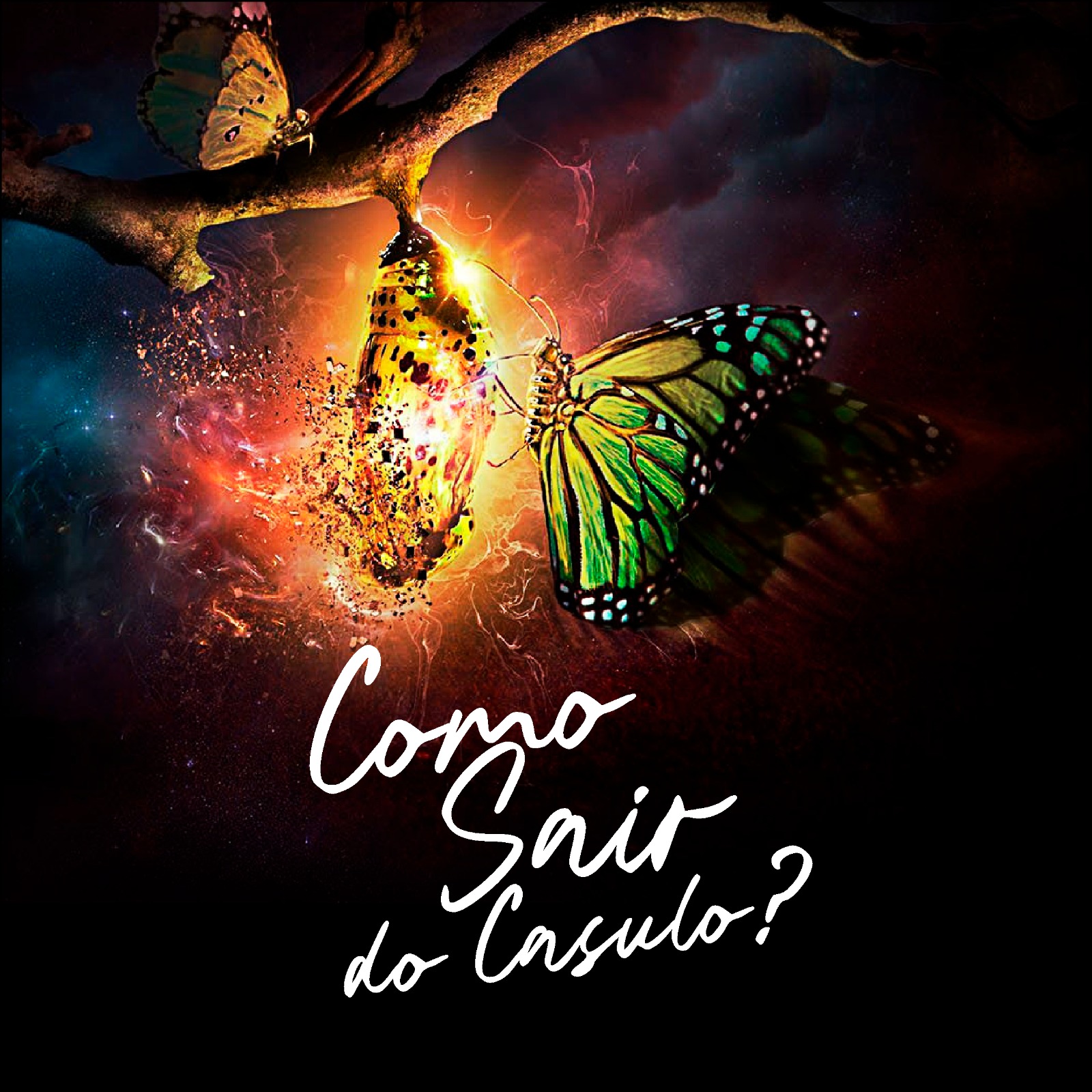 Como sair do casulo? - Juliene Boller | Hotmart