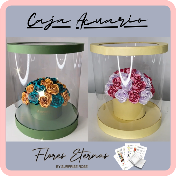 Caja Acuario By Surprise Rose - Leidy Pinto | Hotmart