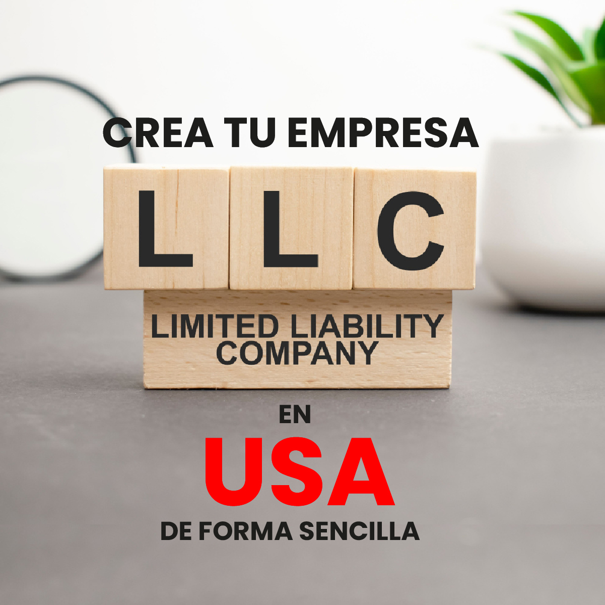 Crea tu Empresa LLC en EEUU de forma sencilla - Productos Escalable...