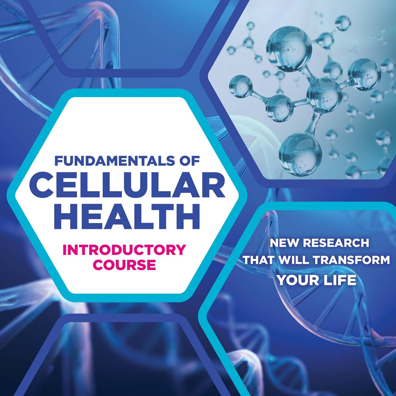Course: Fundamentals of Cellular Health Course