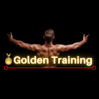 Golden Training - Consultoria Fitness