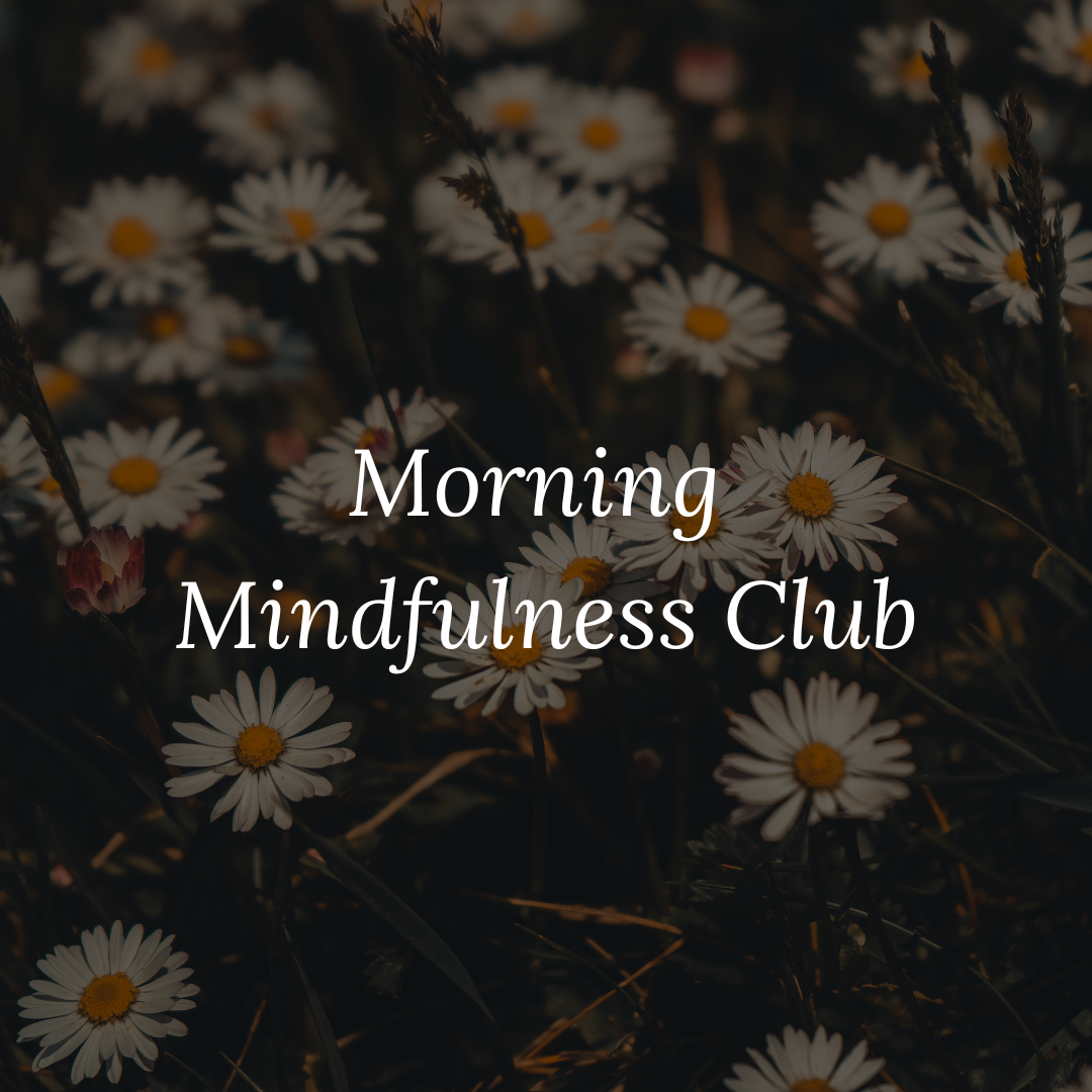 Morning Mindfulness Club - S. Luna Guimarães | Hotmart