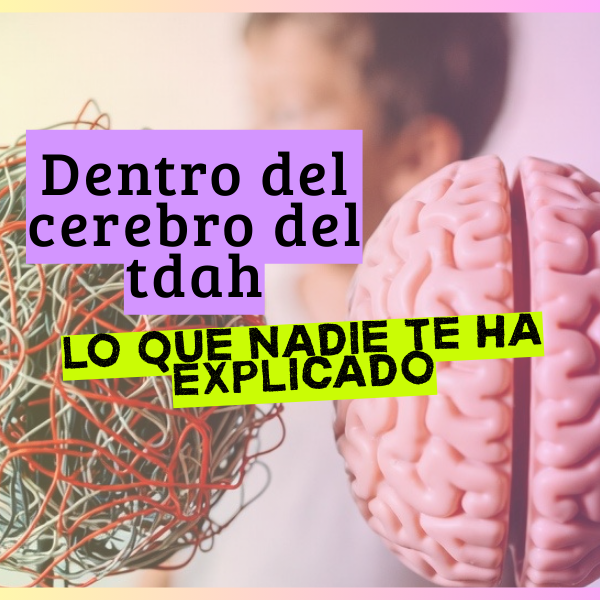 Dentro del cerebro del TDAH | Hotmart
