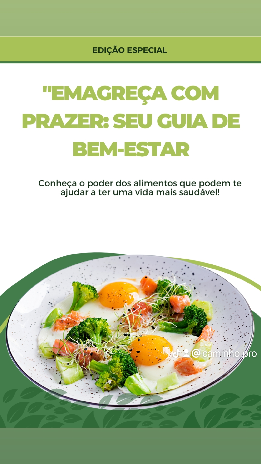 "Guia Definitivo para Emagrecer de Forma Saudável" - Guilherme GALD...
