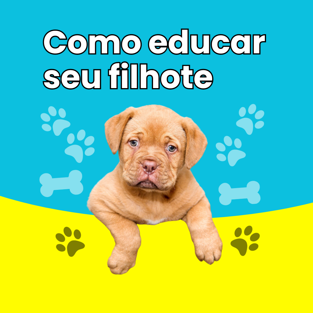 Como Educar seu Cachorro Filhote - Matheus Vieira Torres da Silva