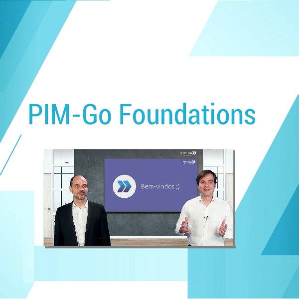 PIM-Go: Curso e Certificações - PIM-Go (Product Integration Model)
