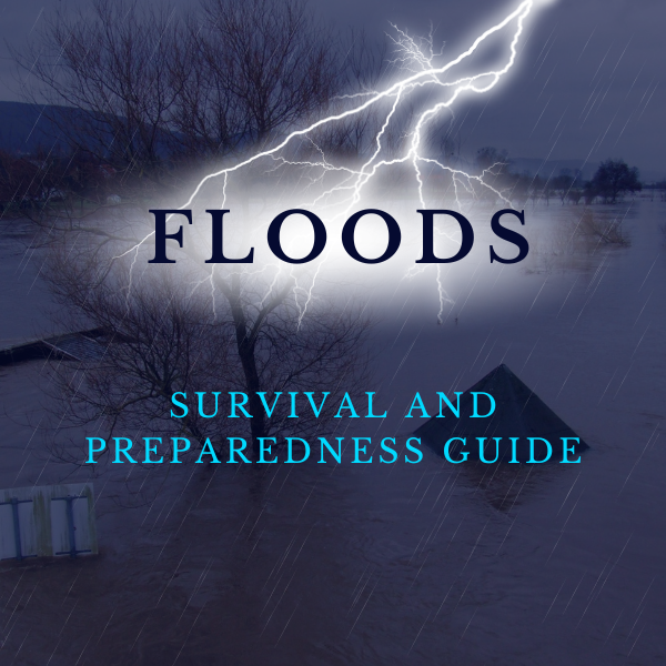 Floods: Survival and Preparedness Guide - Digital Market Impire | H...