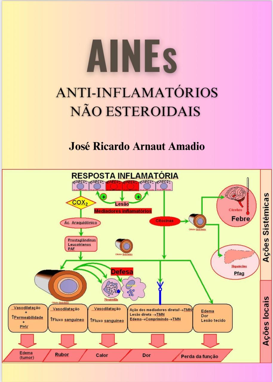 E-book: Anti-inflamatórios Não Esteroidais (AINEs)