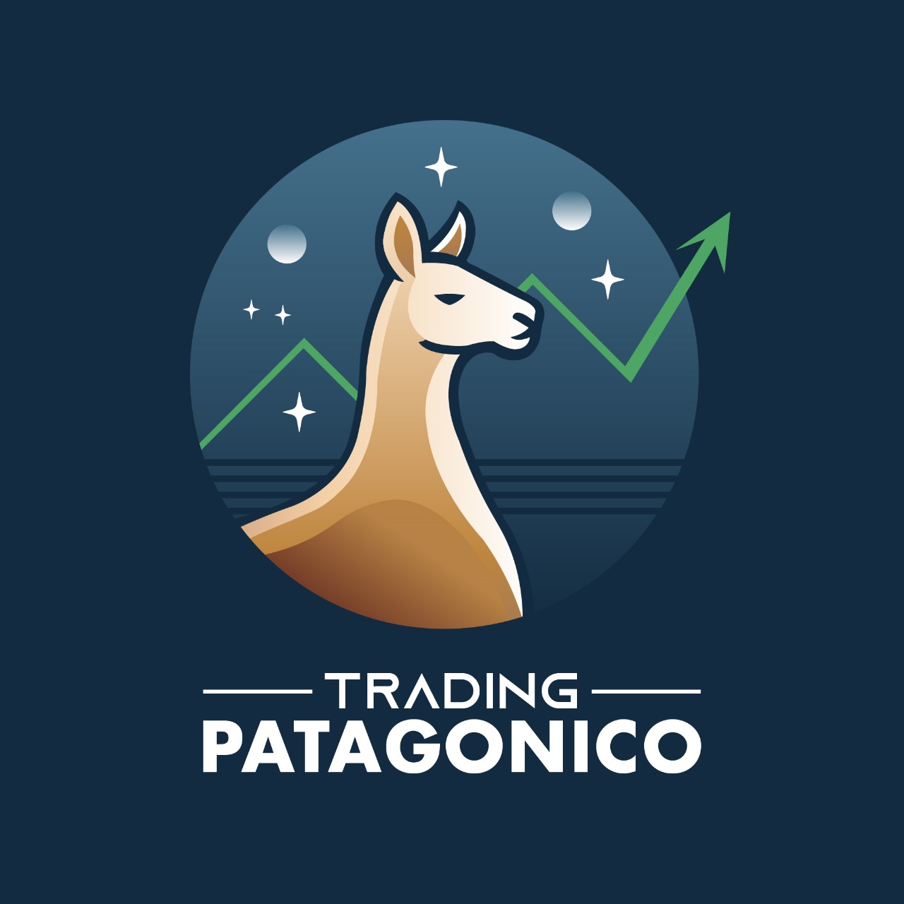 Acompañamiento de desarrollo sobre trading - Aaron Jaramillo | Hot...