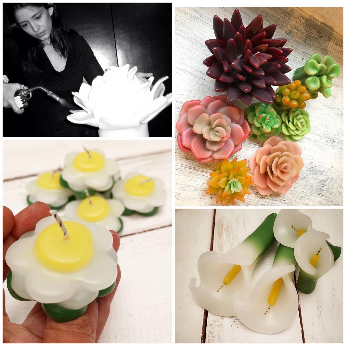 Quiero ser Artista - Mariló Fernández | Hotmart