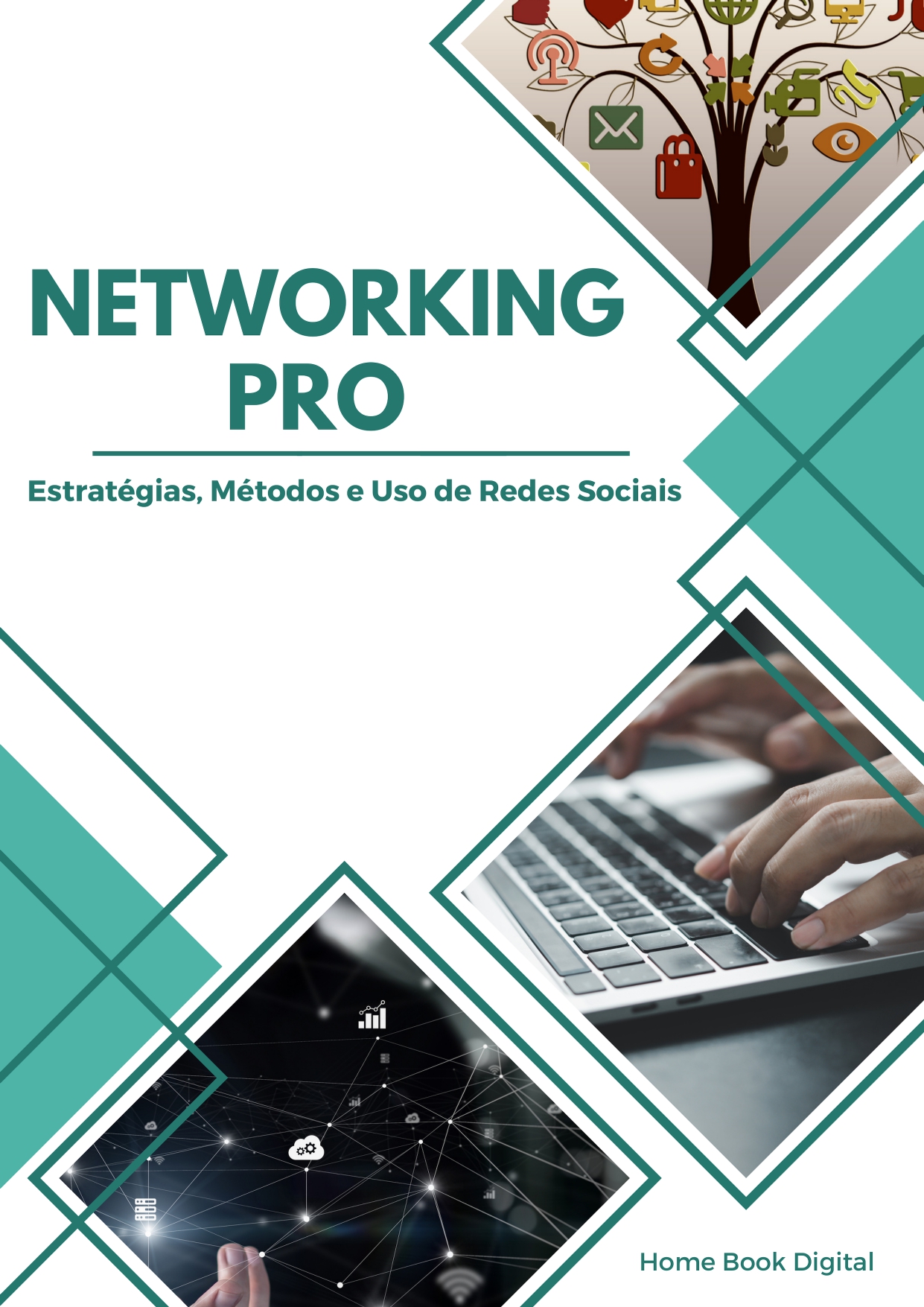 Networking Pro: Estratégias, Métodos e Uso de Redes Sociais - Pedro...