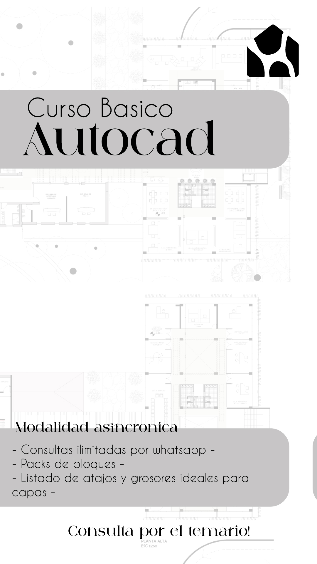 Curso basico de Autocad - Luciana Barrios | Hotmart