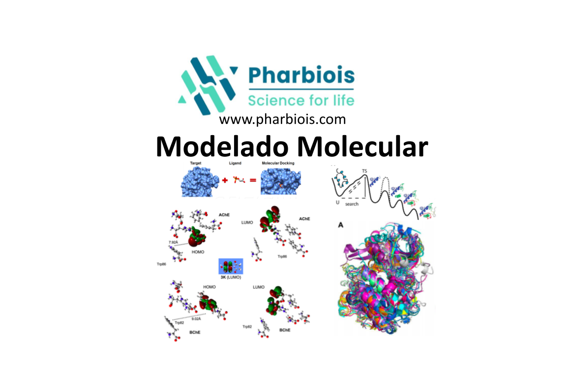 Modelado Molecular - Jose Correa Basurto | Hotmart