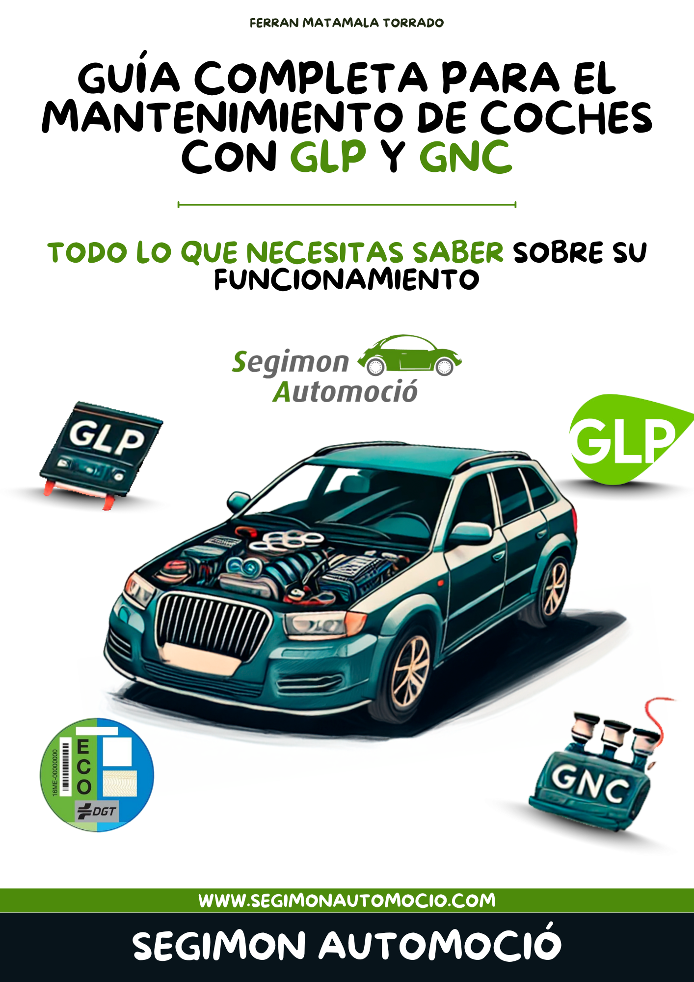 Guía completa para el mantenimiento de coches con GLP y su ...