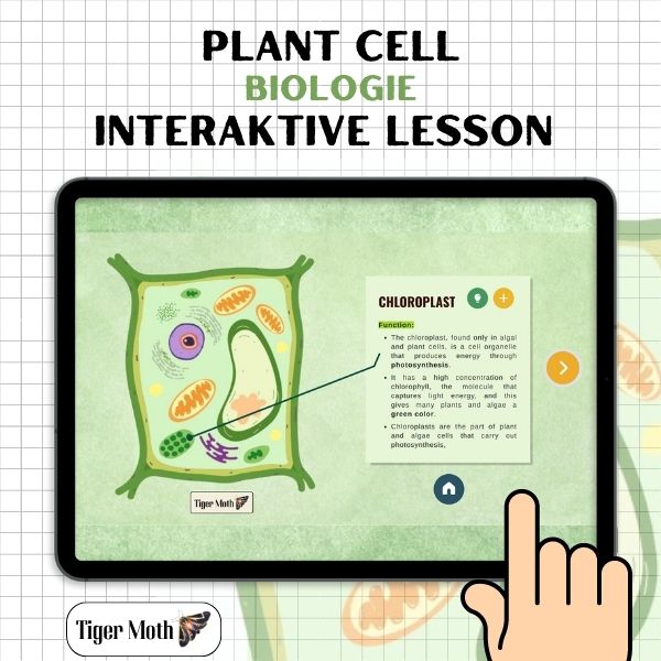 PLANT CELL - INTERACTIVE LESSON