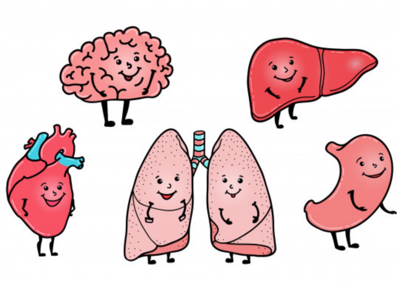 APRENDE PRINCIPIOS DE ANATOMIA Y FISIOLOGIA