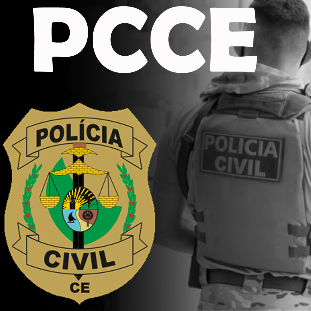 Flashcards para PCCE - LUCAS FERREIRA SILVA | Hotmart