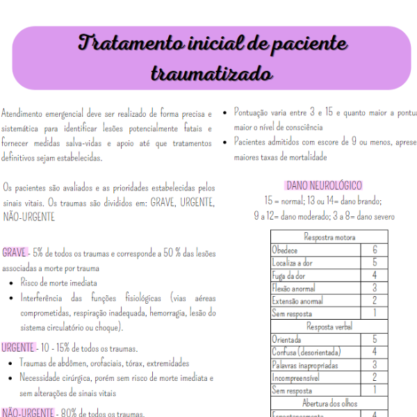 Resumo - Tratamento inicial de paciente traumatizado - Liliane Ceci...