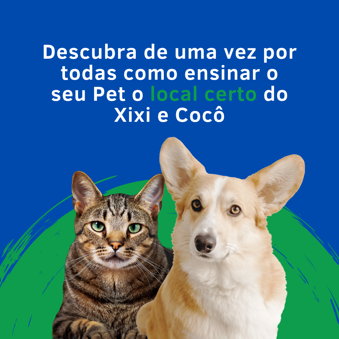 Xixi e Cocô no lugar certo