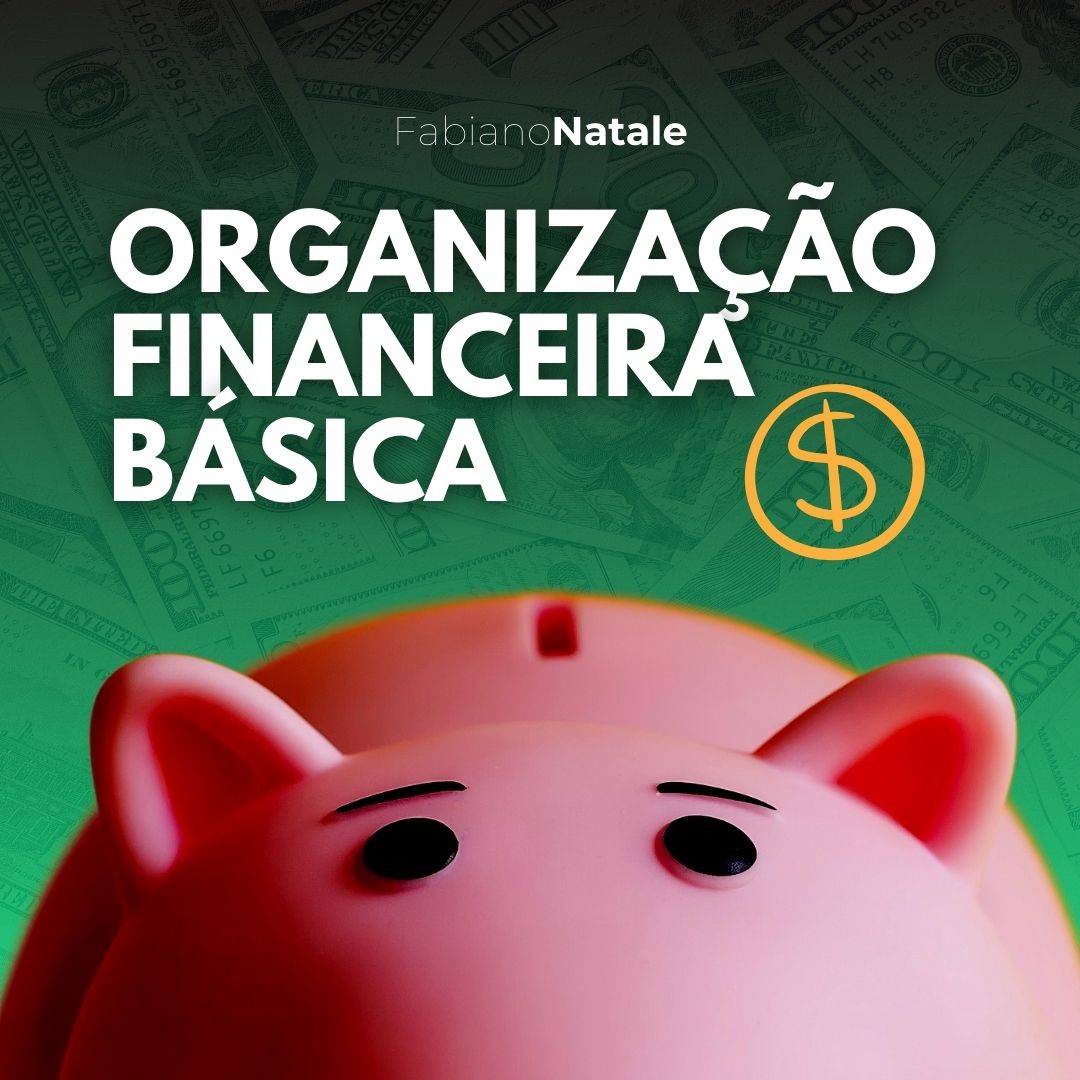 Organização financeira básica - Fabiano Natale | Hotmart