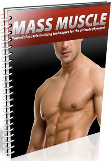 Manual of how to gain mass