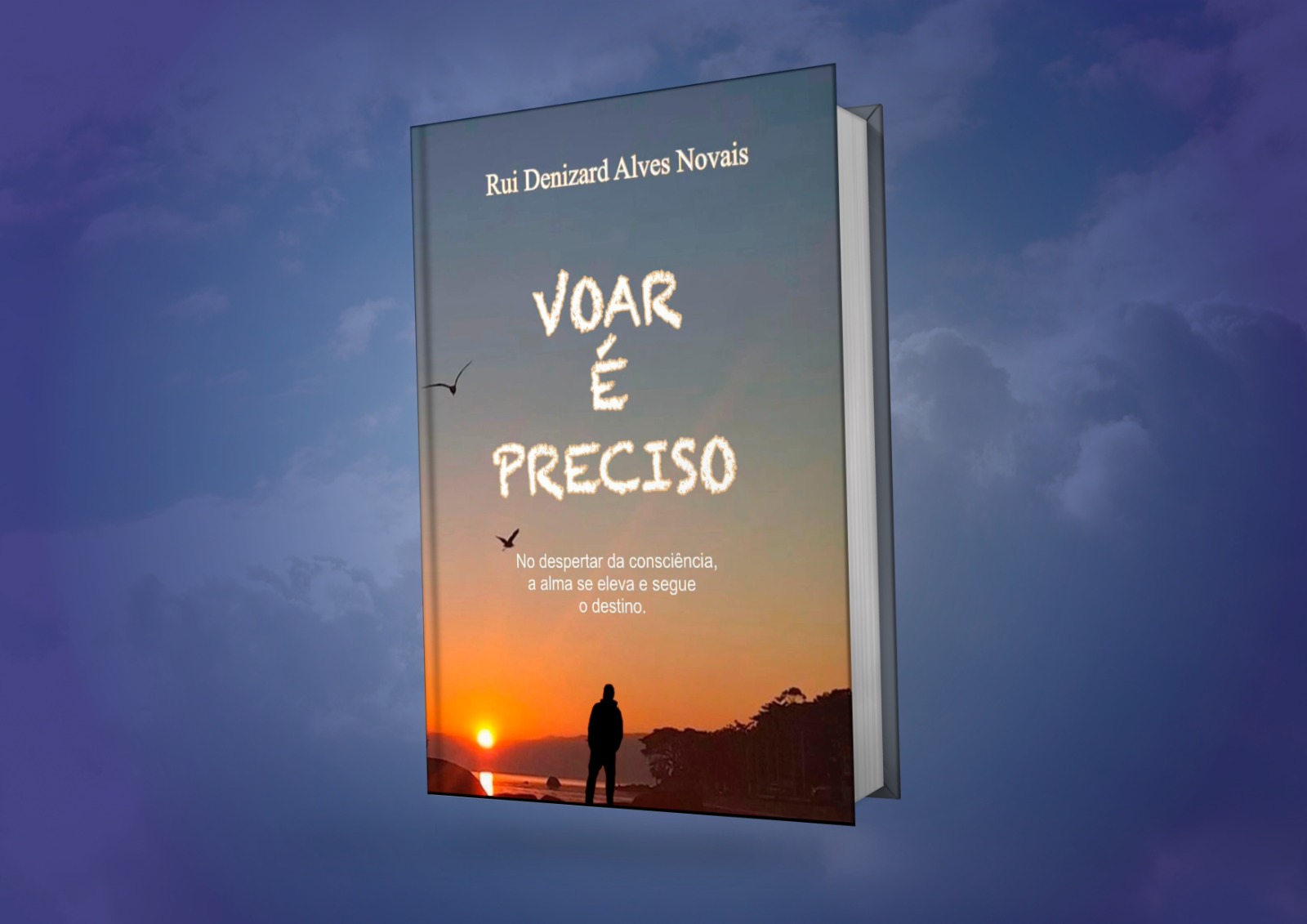 E-BOOK - VOAR É PRECISO - Professor Rui Novais | Hotmart