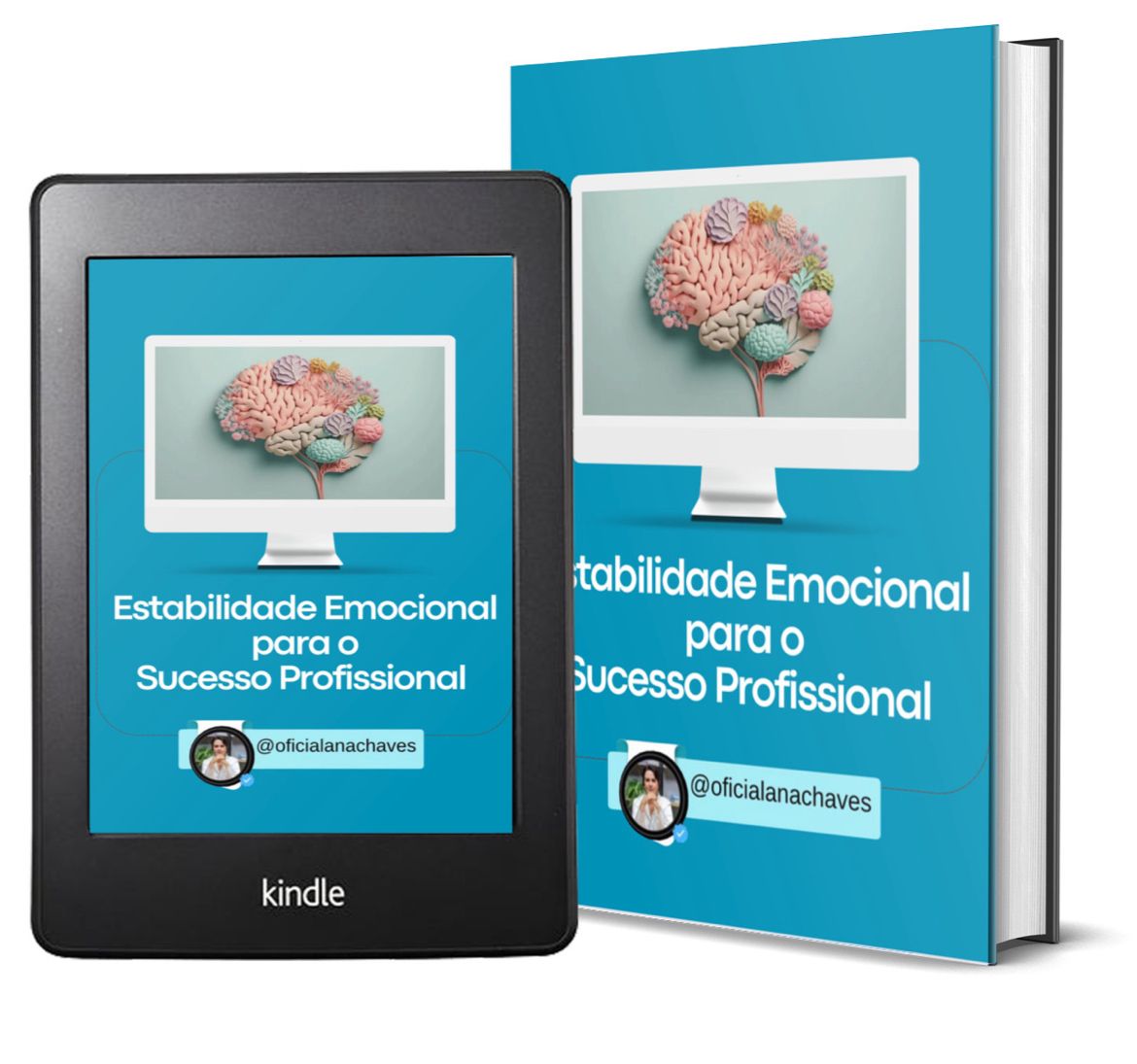 Estabilidade emocional para o sucesso profissional - Ana Estela Te...