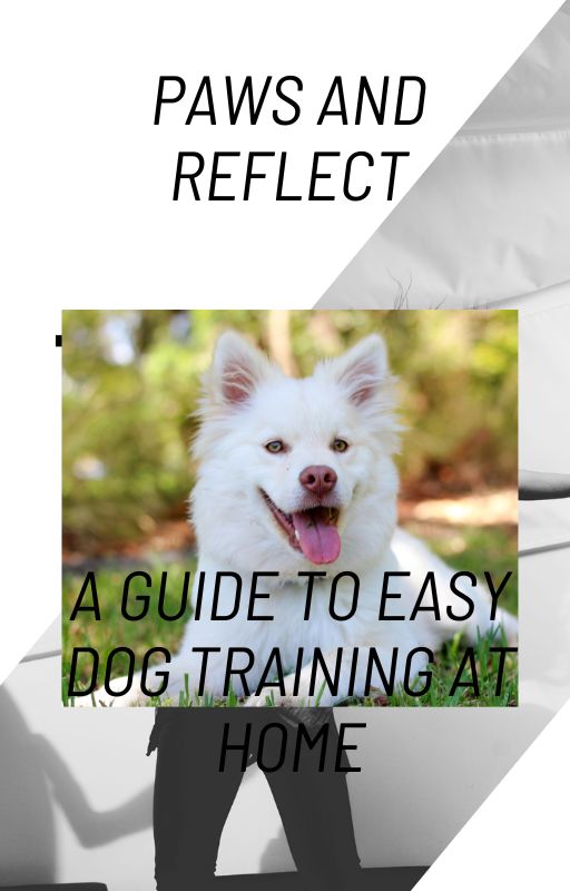 Paws and Reflect A Guide to Easy Dog Training at Home