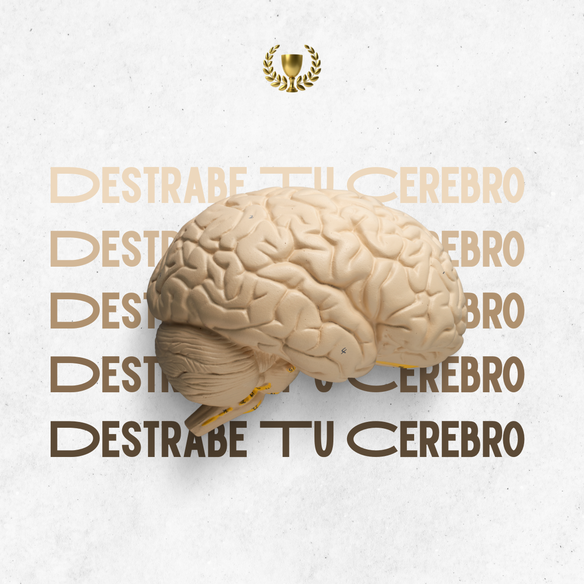 Destrabe Tu Cerebro