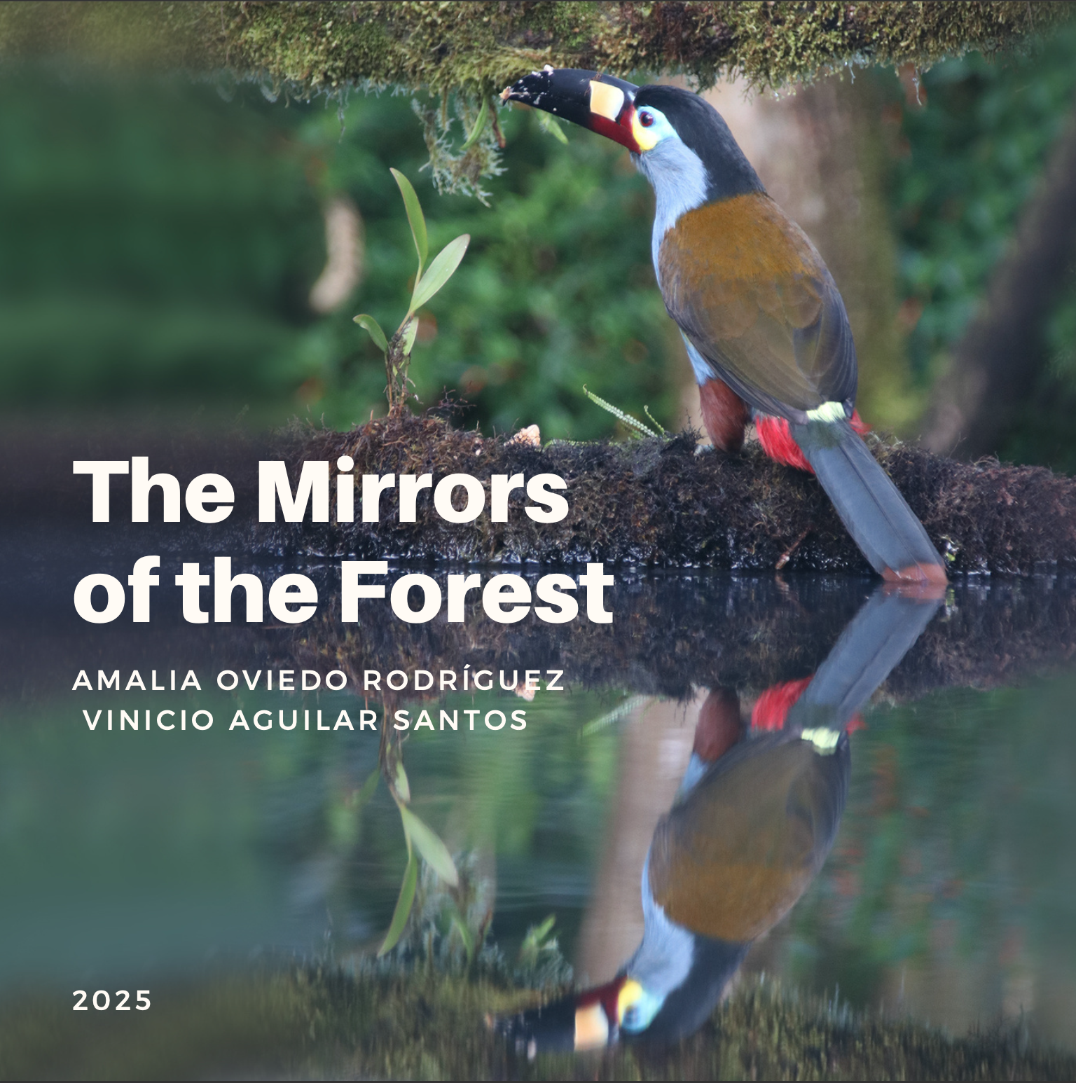 The Mirrors of the Forest | Hotmart