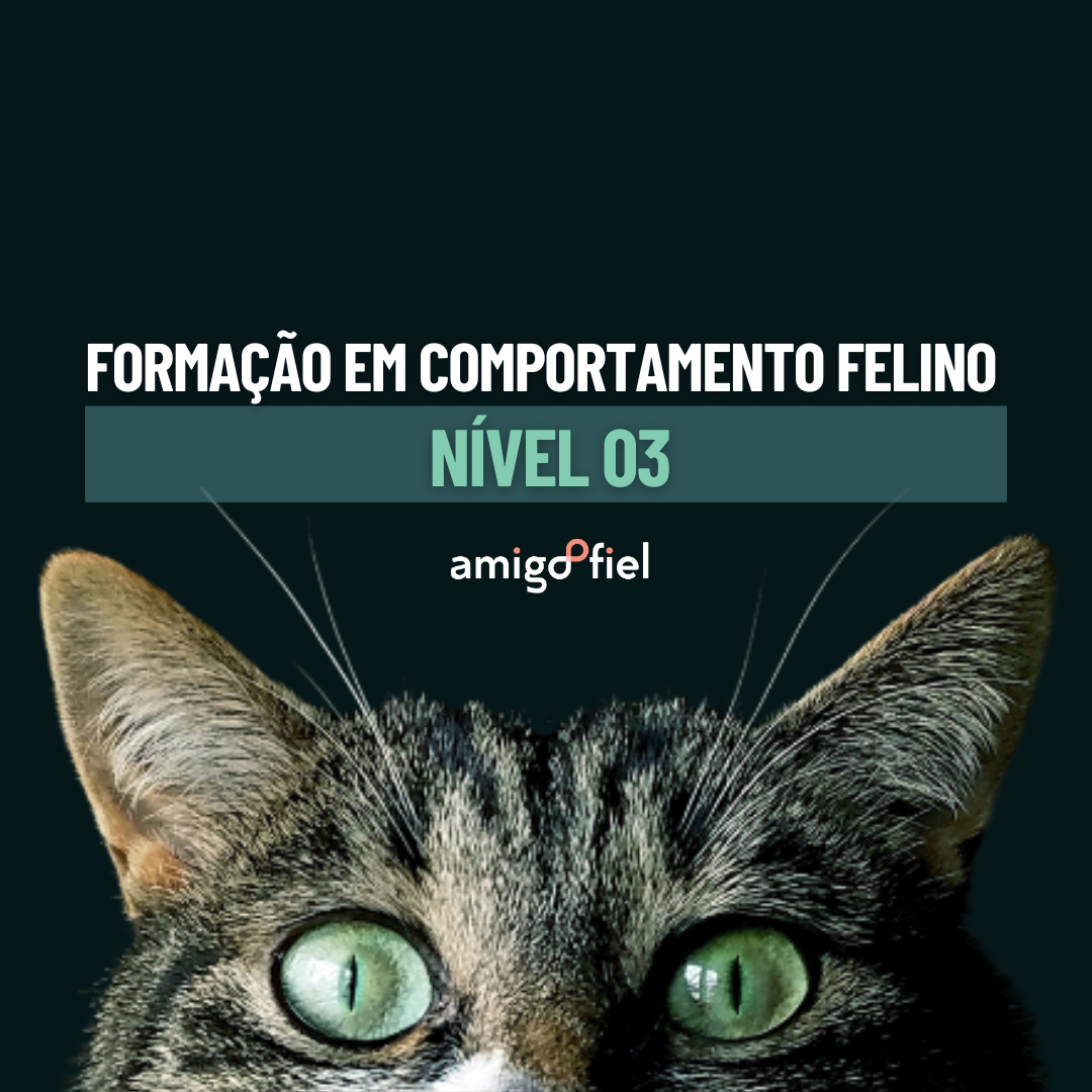 Formação em Comportamento Felino | Nível 03 - Veridiana Martins Dia...