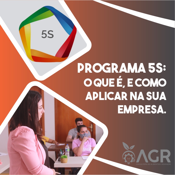 Programa 5s: O que é, e como aplicar na sua Empresa. - Andreia Goul...