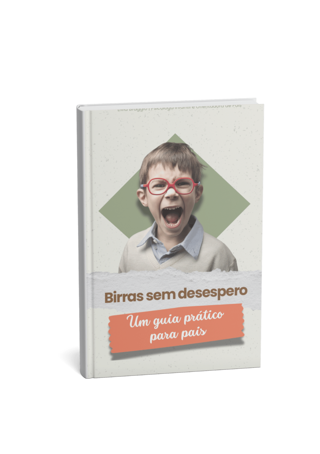Birras sem Desespero – Um Guia Prático para Pais - Lívia Braggio