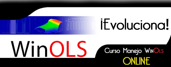 CURSO WINOLS COMPLETO (NIVEL BASICO A AVANZADO)
