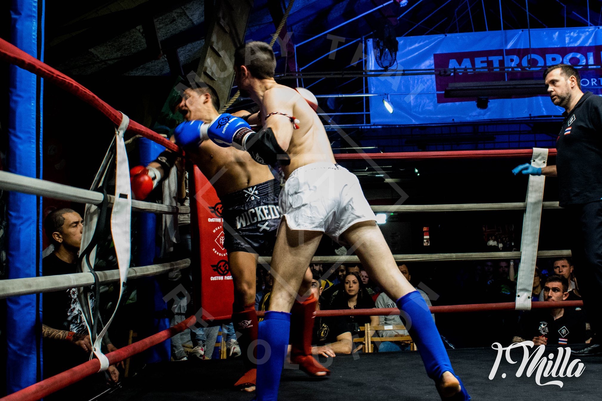 KnockOut Combo - David Guibert Montaña | Hotmart