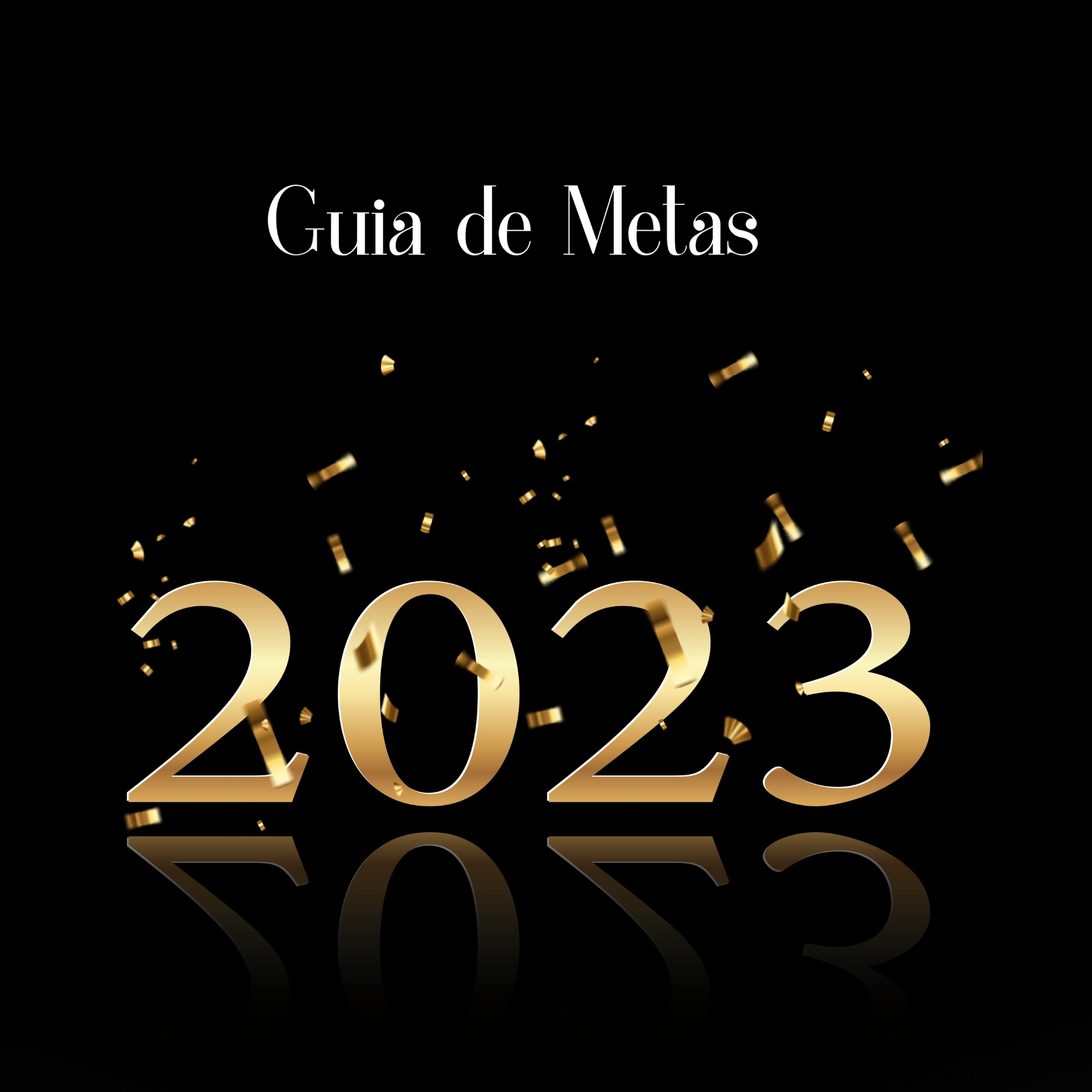 GUIA DE METAS 2023 - Risoneide dos santos Araujo | Hotmart