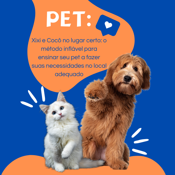 Xixi e Cocô no Lugar Certo