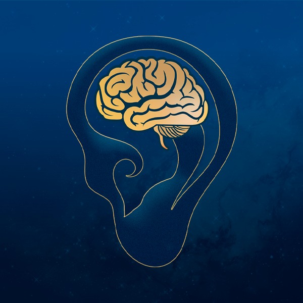 Universo da Auriculoterapia Neurofisiológica