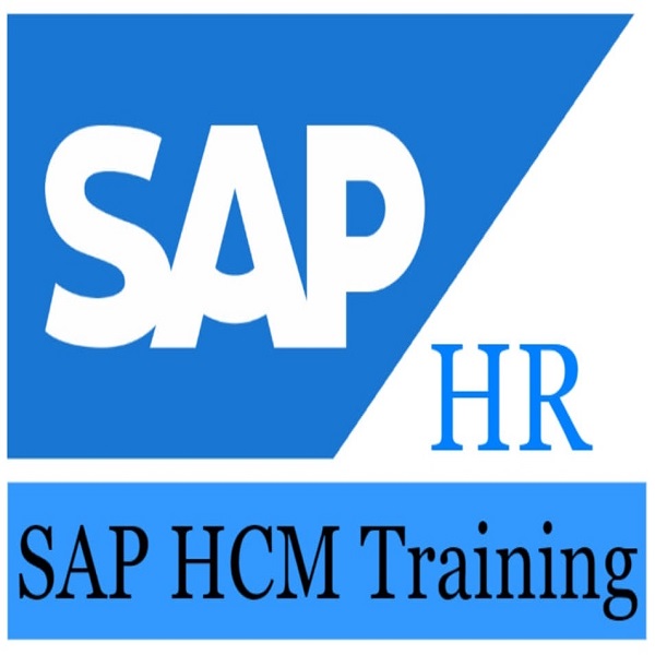 Curso SAP HR HCM Consultor / Usuario 2021