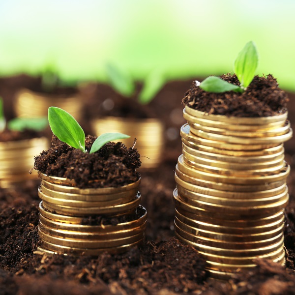 Inversiones a Largo Plazo: Estrategias para Construir Patrimonio