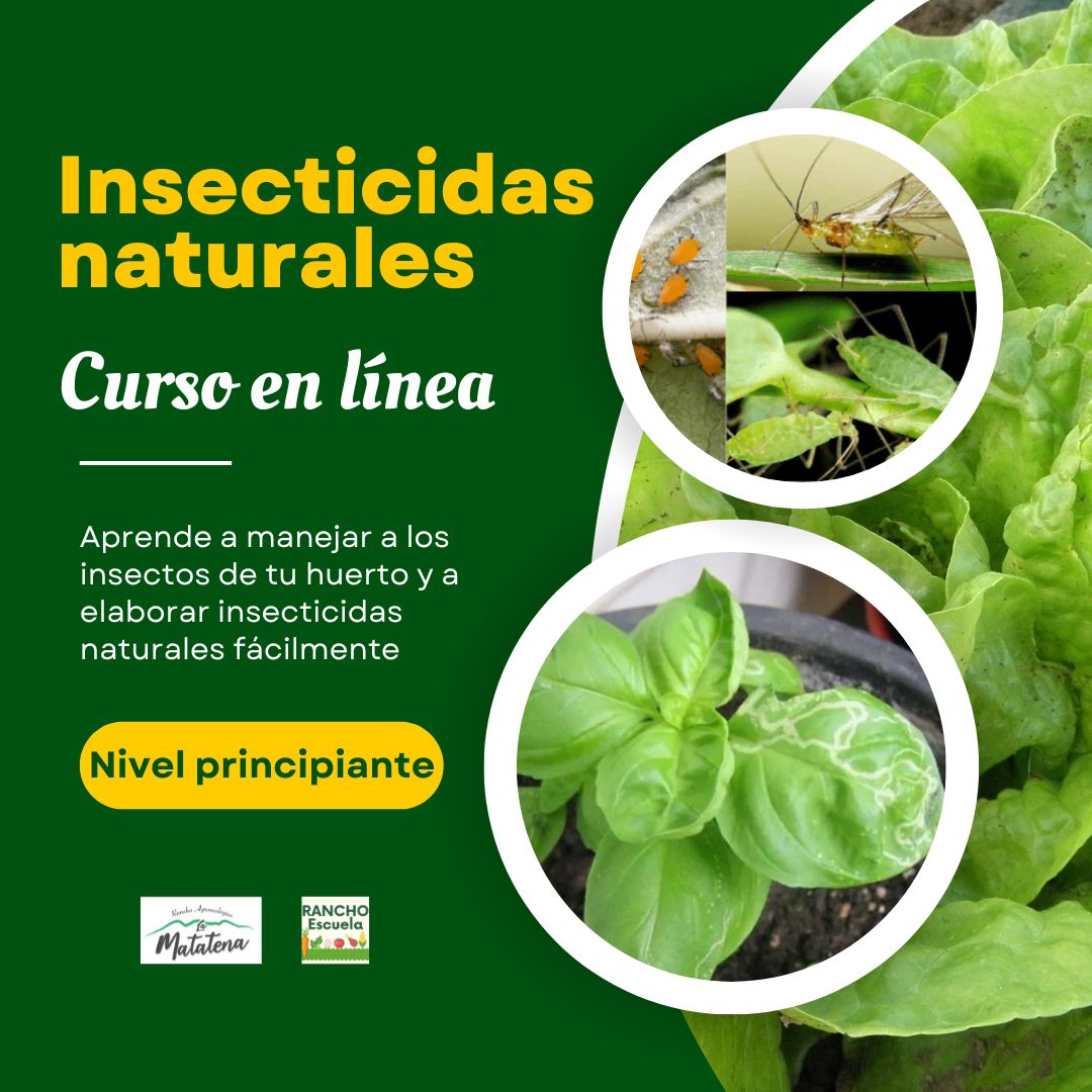 Insecticidas Naturales - Brenda Arias Romero | Hotmart